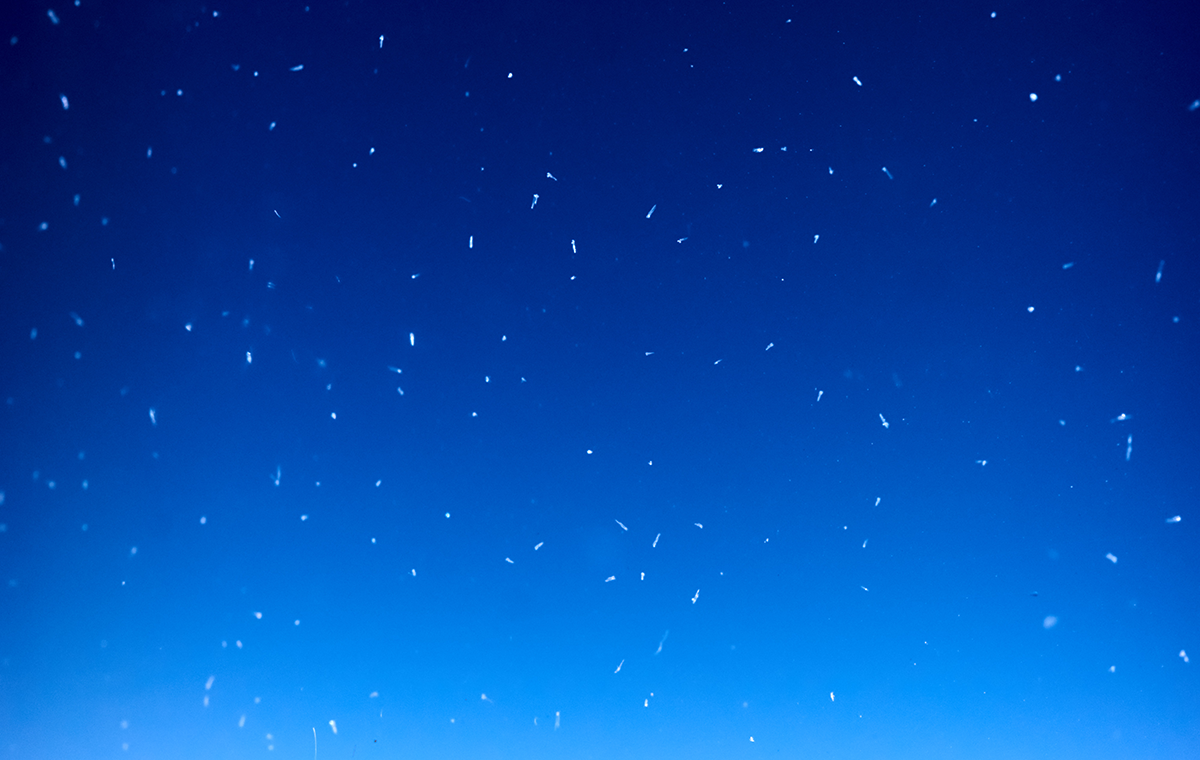 Home - daniel.foster